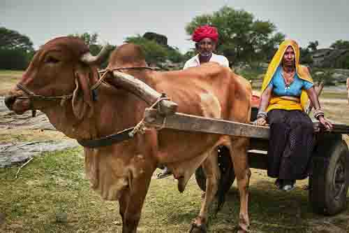 Agence de Voyage en Inde pour les Francophones Spécialisés